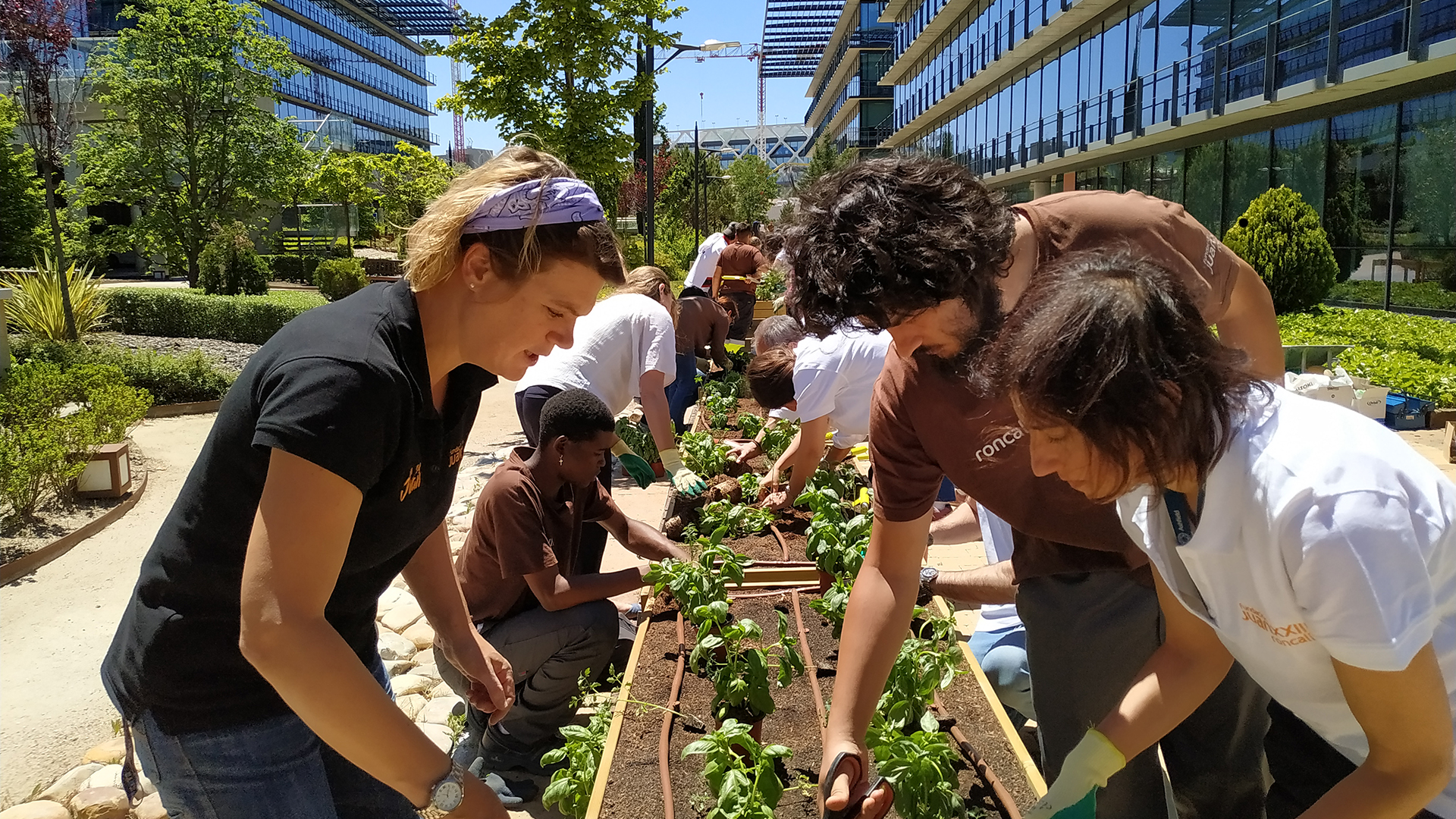 Corporate Social Responsibility - Merlin Properties Socimi, S.A. (EN)