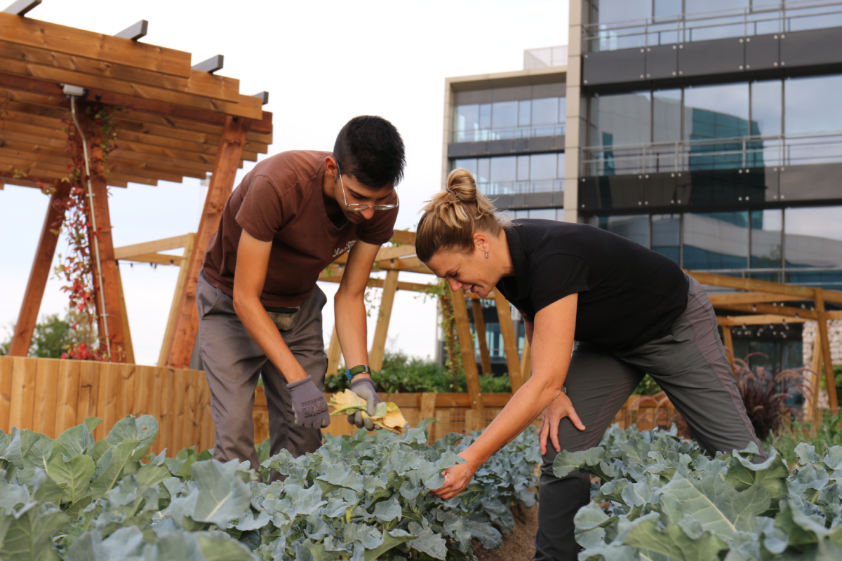 Discover our Inclusive Urban Gardens - Merlin Properties Socimi, S.A. (EN)