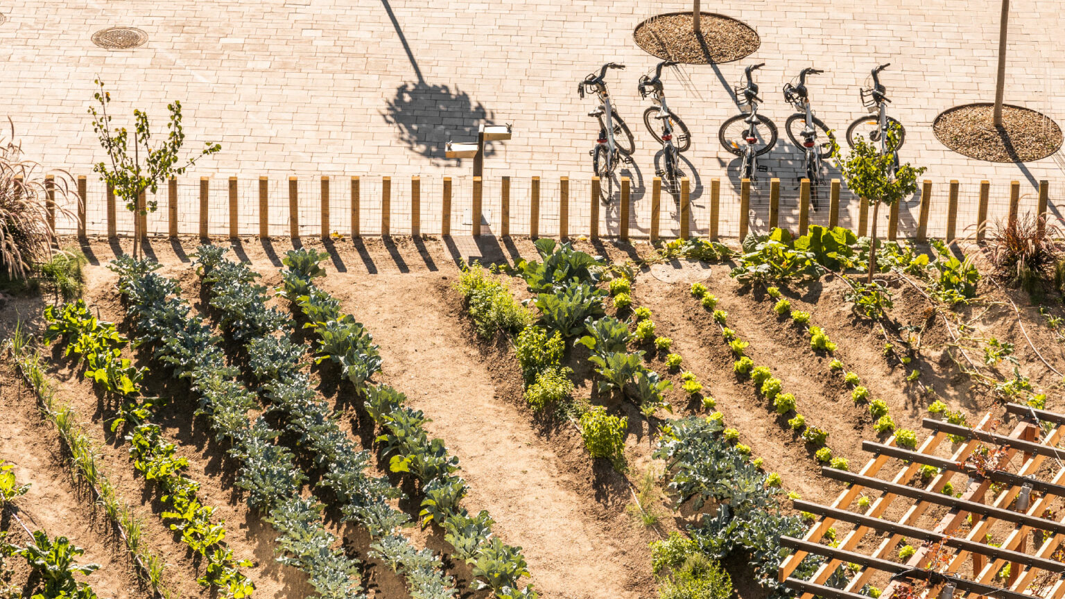 Adequa - Merlin Properties Socimi, S.A.