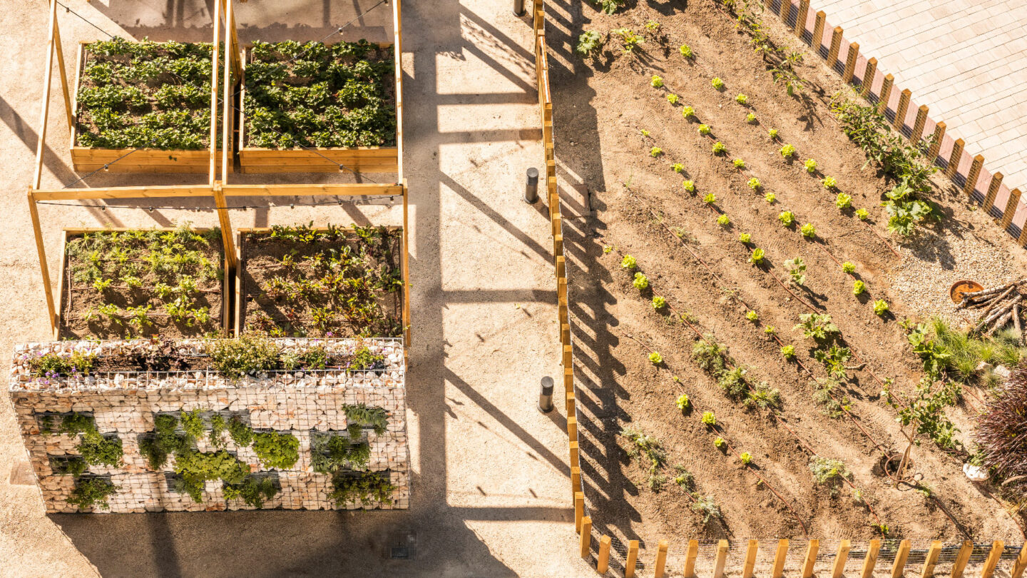 Adequa - Merlin Properties Socimi, S.A.